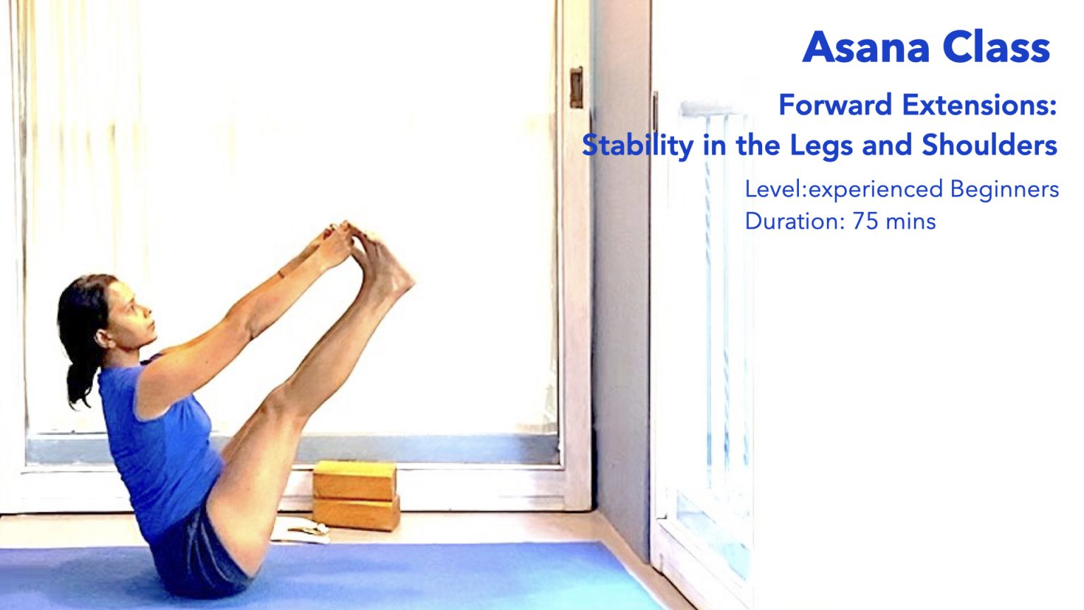 Seated Forward Extensions: The Fabulous Four Seated Asanas - from ...